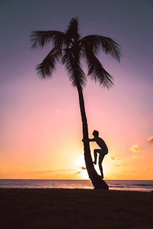 Île Maurice : que faire à Île Maurice ? Île Maurice : que voir à l'Île ...
