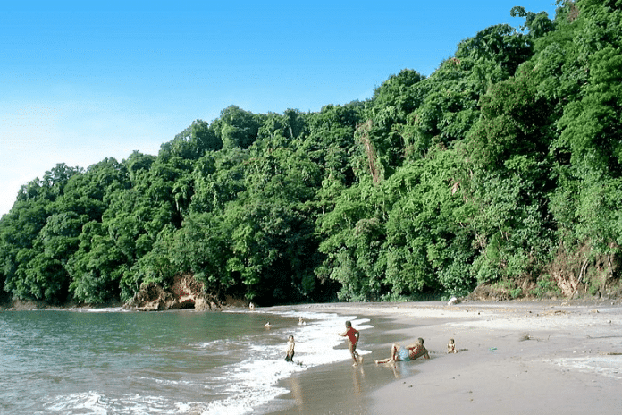 Rivière-Pilote Martinique ! Quoi visiter et que faire