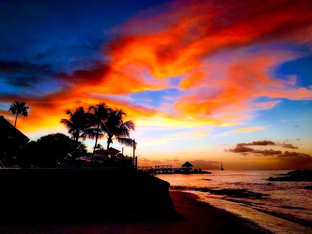 Météo aux Seychelles en Janvier 2026 Climat & Température