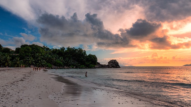 Météo aux Seychelles en Janvier 2026 Climat & Température