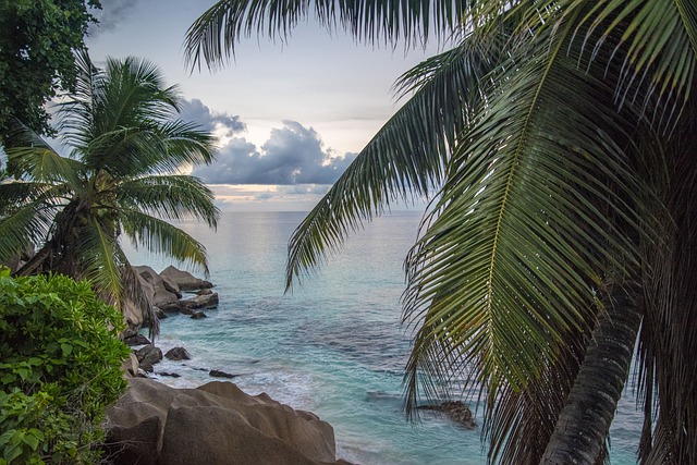 Météo aux Seychelles en Juillet 2026 Climat & Température