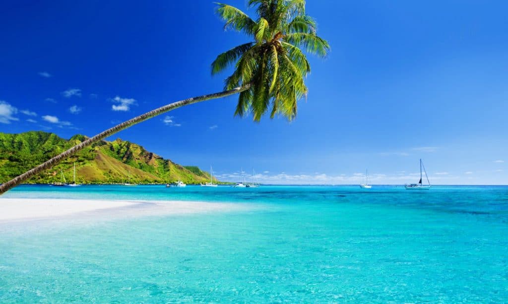Le Marin Martinique ! Quoi visiter et que faire
