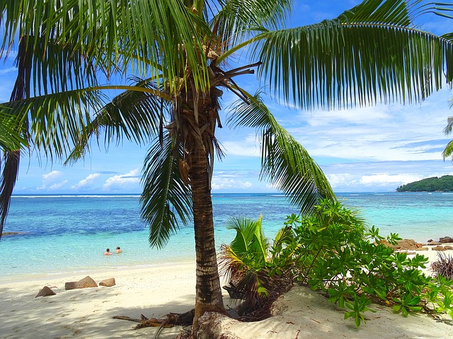 Météo aux Seychelles en Octobre 2026 Climat & Température